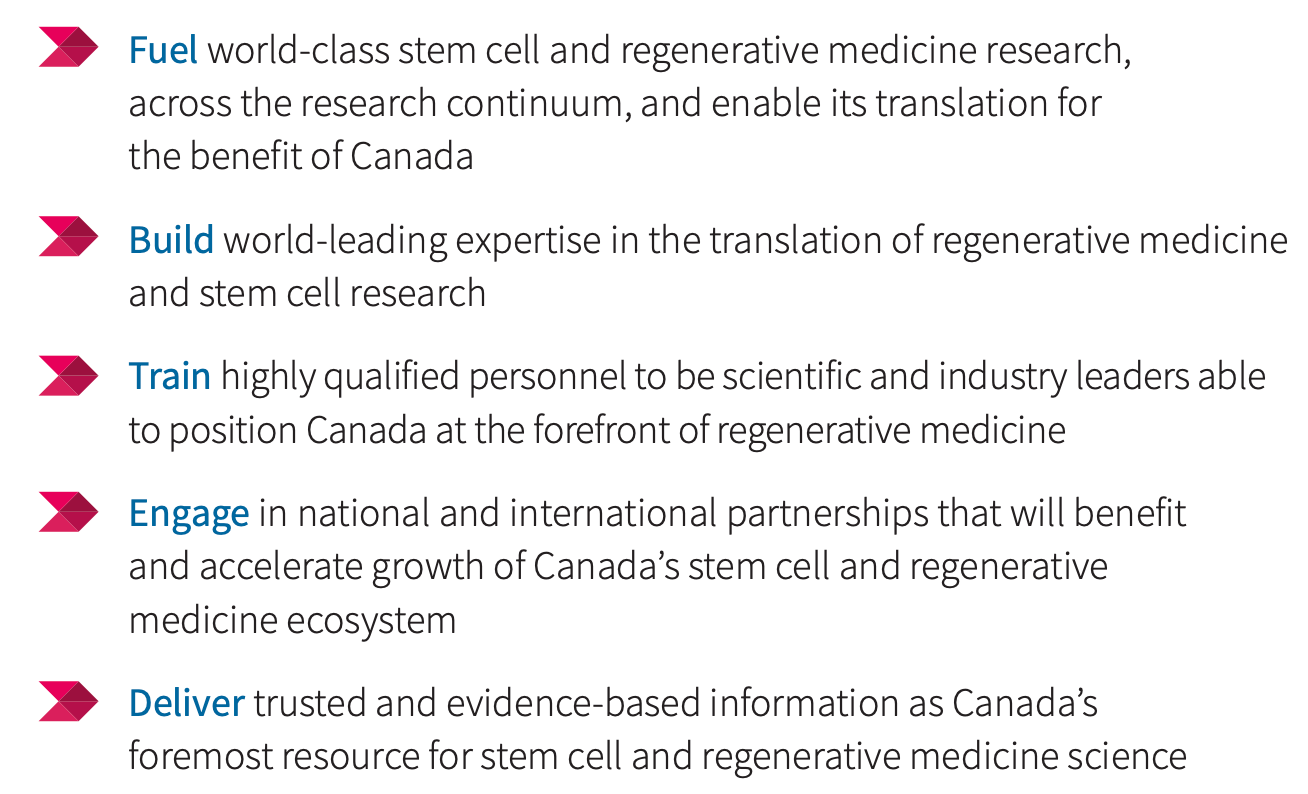 About us : Stem Cell Network